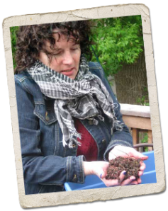 Wormy Stuff – Carol Brendler Books